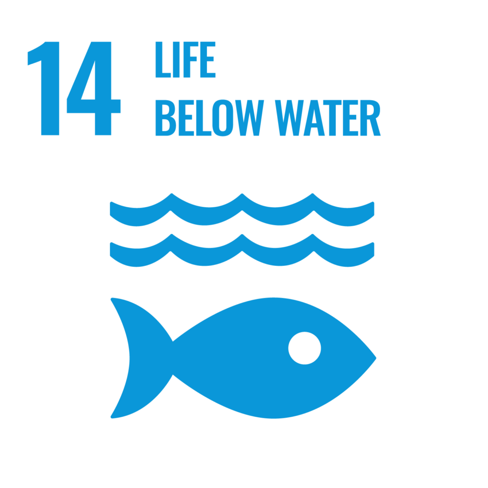 SDG_Icons_Inverted_Transparent_WEB-14 – Global Climate SDG_Icons_Inverted_Transparent_WEB-14 – Global Climate